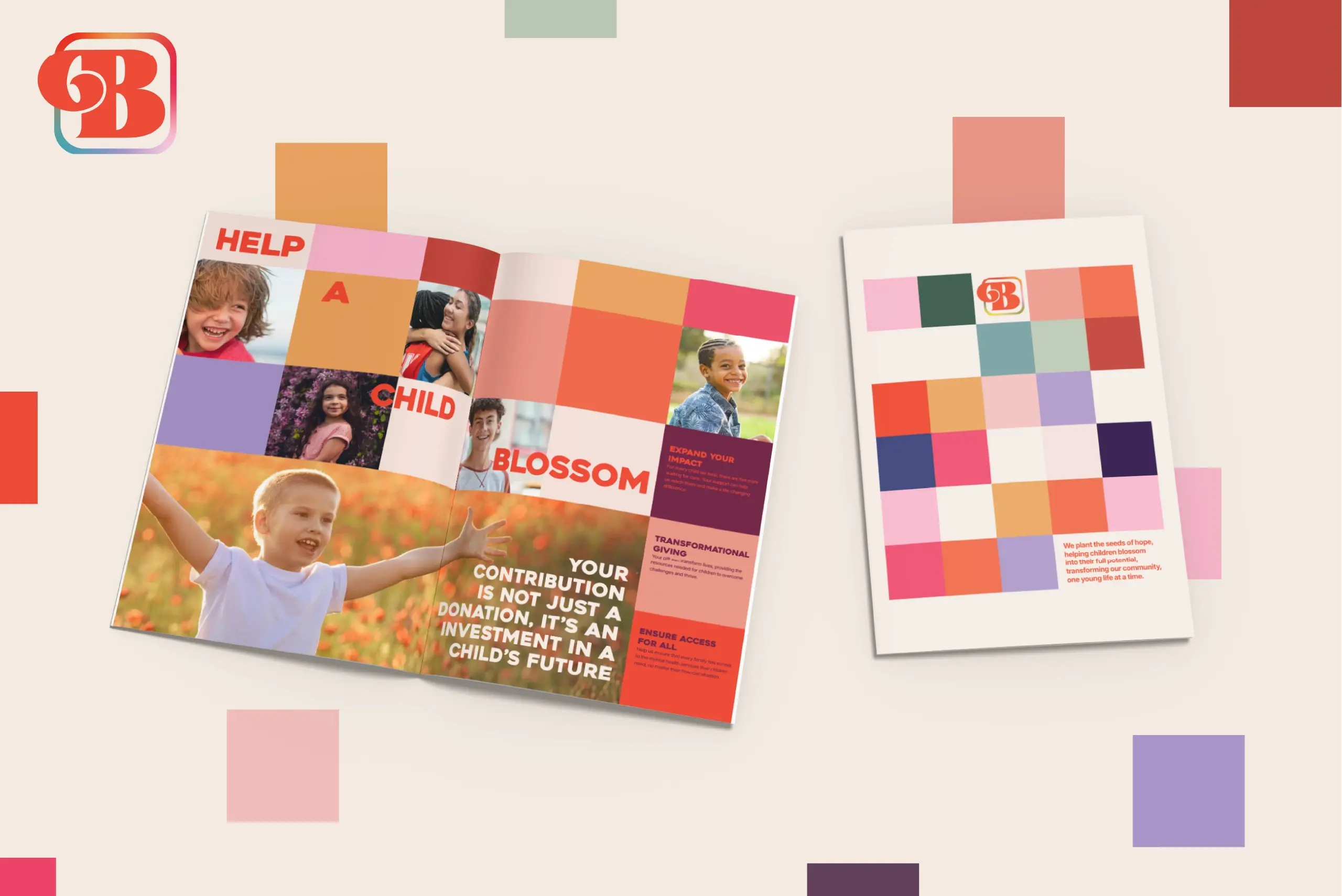 Non-profit Branding in Florida | Ironside Case Study
